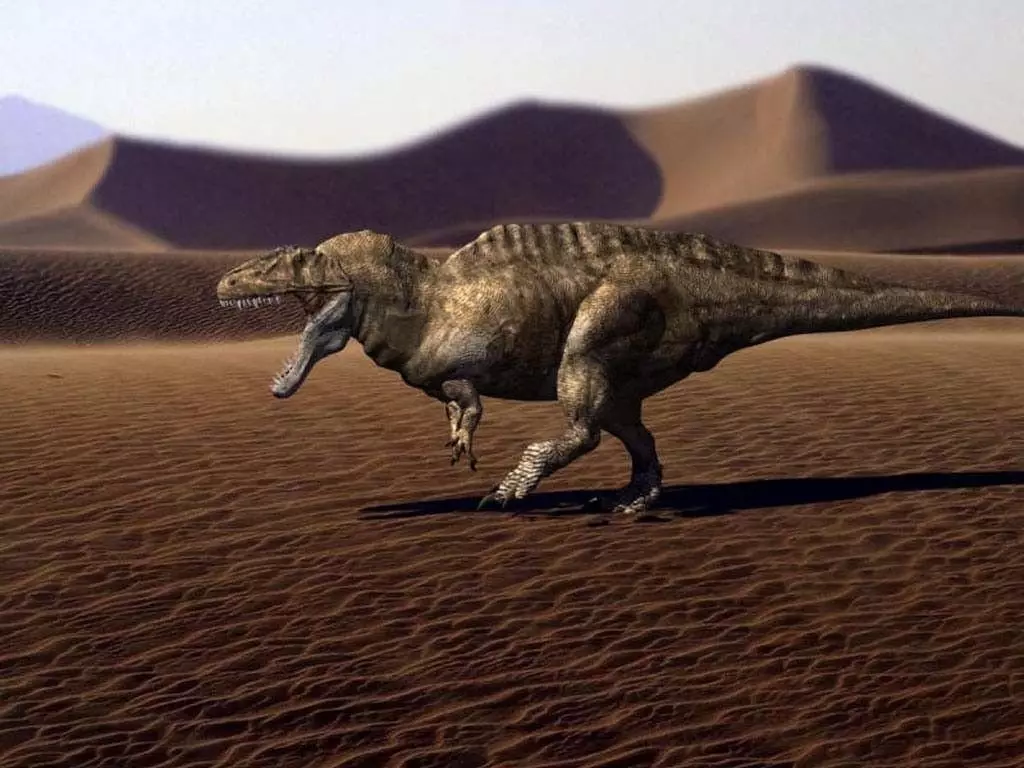 Acrocantosaurus (Carcharodontosauridae)