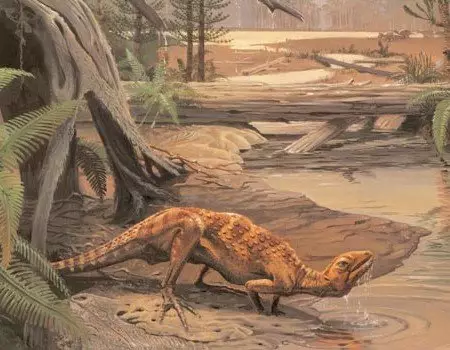 Scutellosaurus