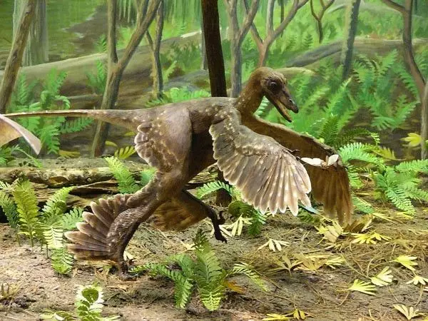 Sinornithosaurus. Myrkyllinen dinosaurus