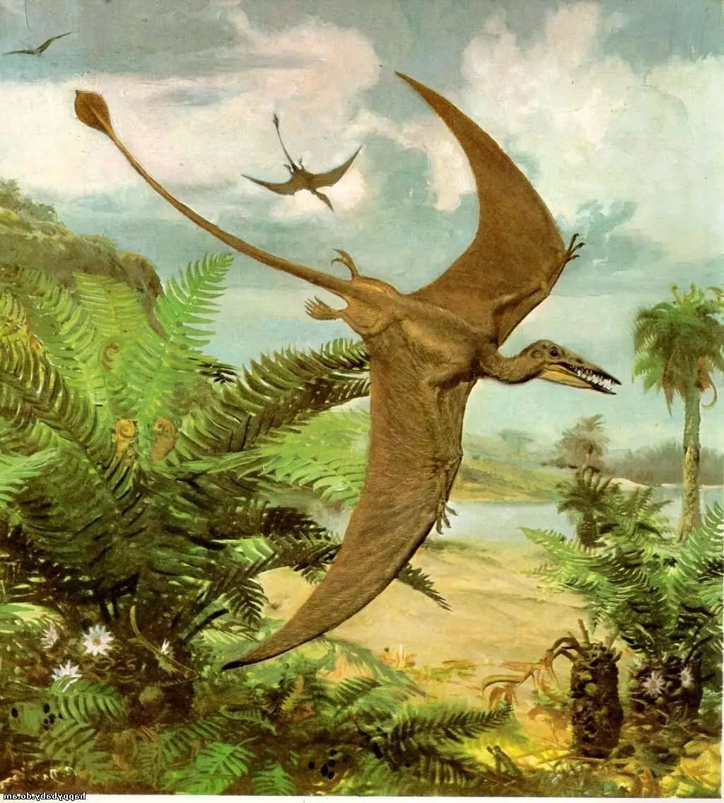 Pterodactyl