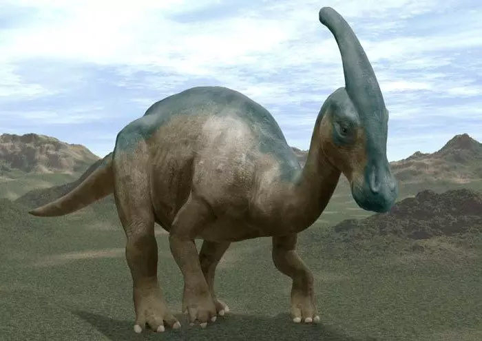 Parasaurolophus ဖြစ်သည်