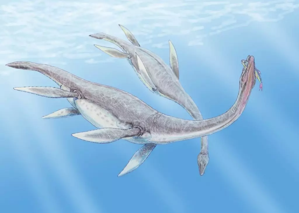 Plesiosaurus