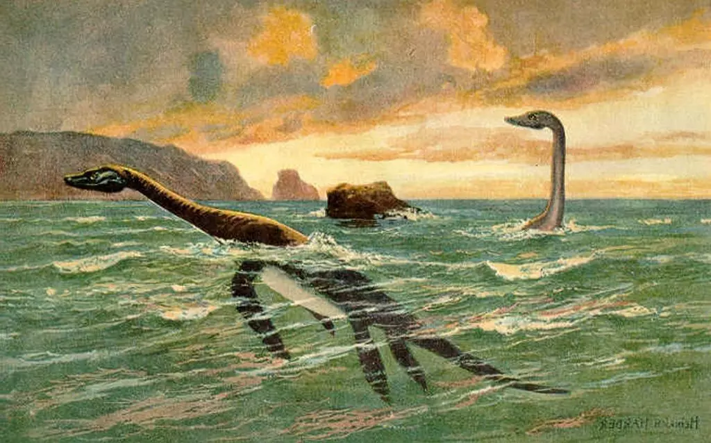 De plesiosaur wie in frij grutte dinosaurus. It krekte gewicht fan syn lichem is lykwols net fêststeld troch wittenskippers.