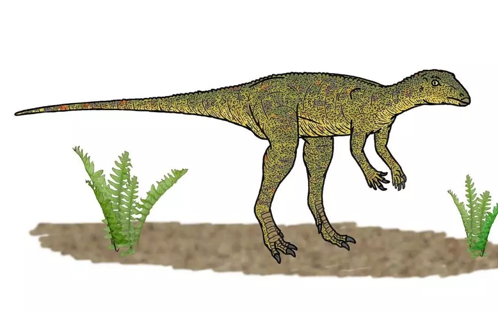 Lesothosaurus,