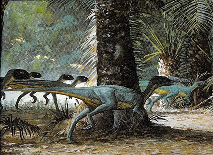 Lesotosaurus جي structureانچي اجازت ڏني ته اها تمام گھڻي موبائل هجي.