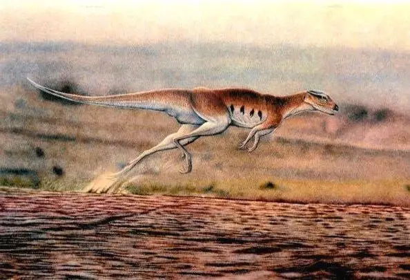 Çox güman ki, Lesotosaurus əla qaçışçı idi.