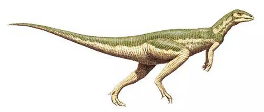 Lesotosaurus ظاھر