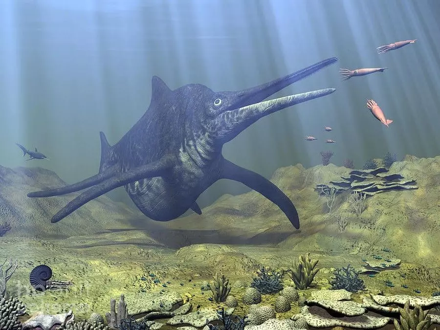 Ichthyosaurus धेरै लामो जबडा थियो