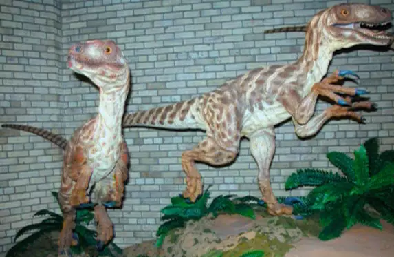 Ang mga siyentista ay hindi pa rin nakarating sa isang pangwakas na kasunduan sa uri ng tuktok sa ulo ng dinosaur na ito. Maliwanag na siya ay nasa mga dinosaur ng iba't ibang mga species, ngunit ng parehong pamilya