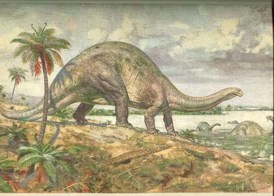 De Brontosaurus huet léiwer Bëschwaasser a Fiichtegkeeten. Op Land war hien e rare Gaascht