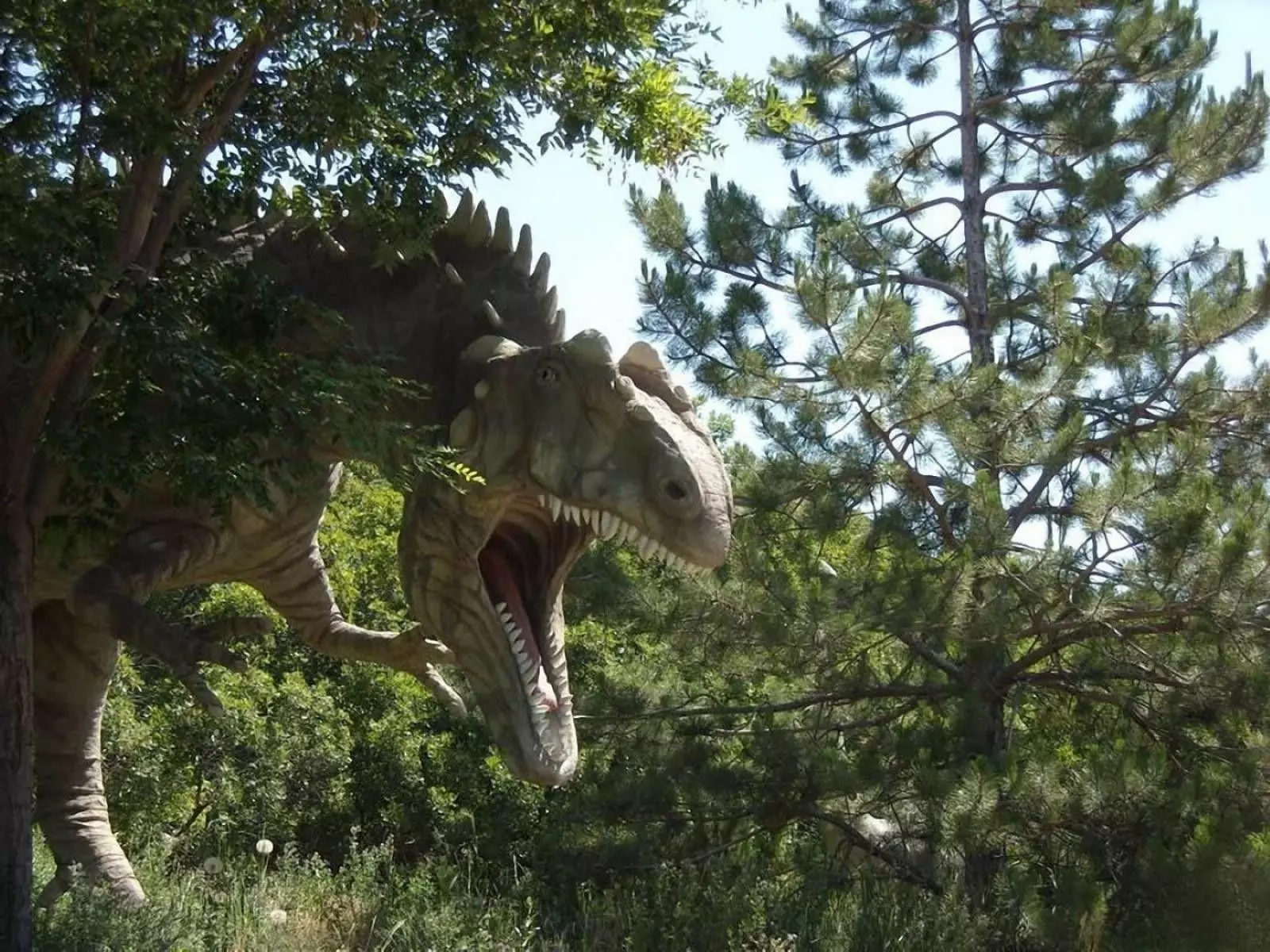 Acrocantosaurus looduses