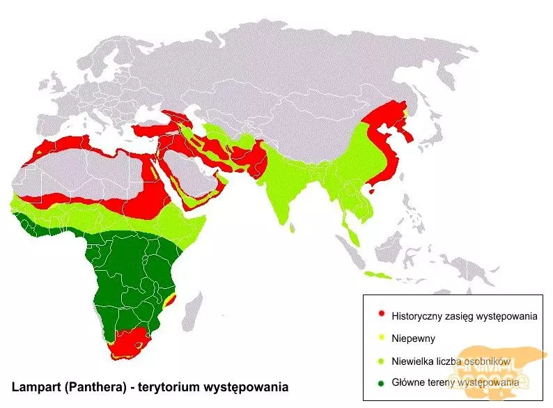 Hoyga shabeelka.