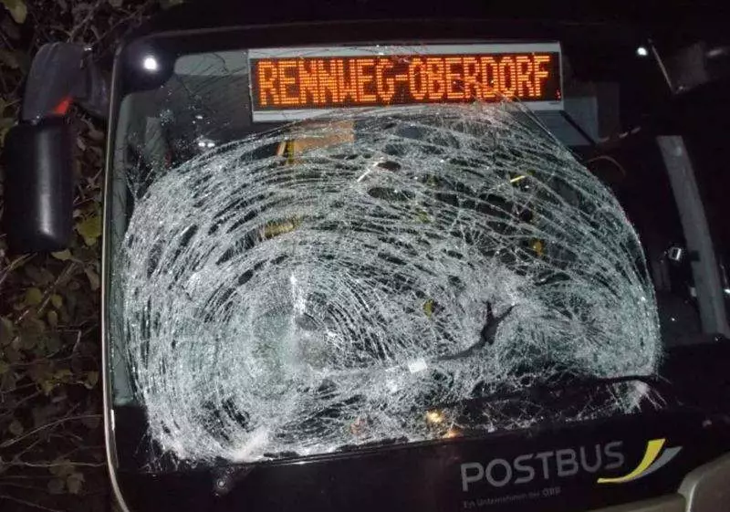 Un bus autrichien après une collision avec un cerf.