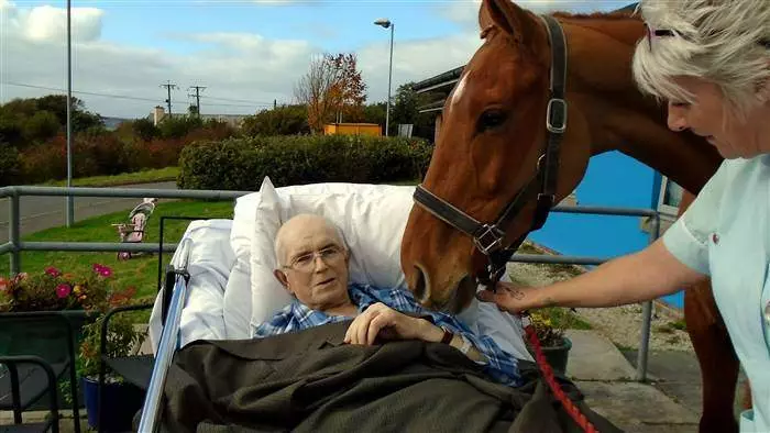 A Anglaterra, un moribund va rebre una reunió amb el seu estimat cavall a l’hospital