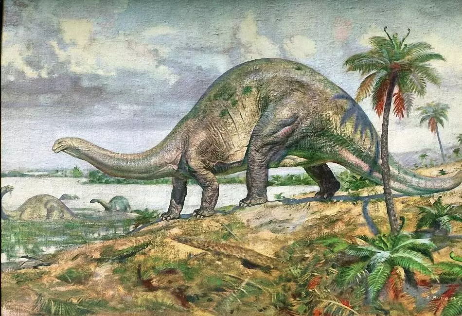 Apatosaurus.