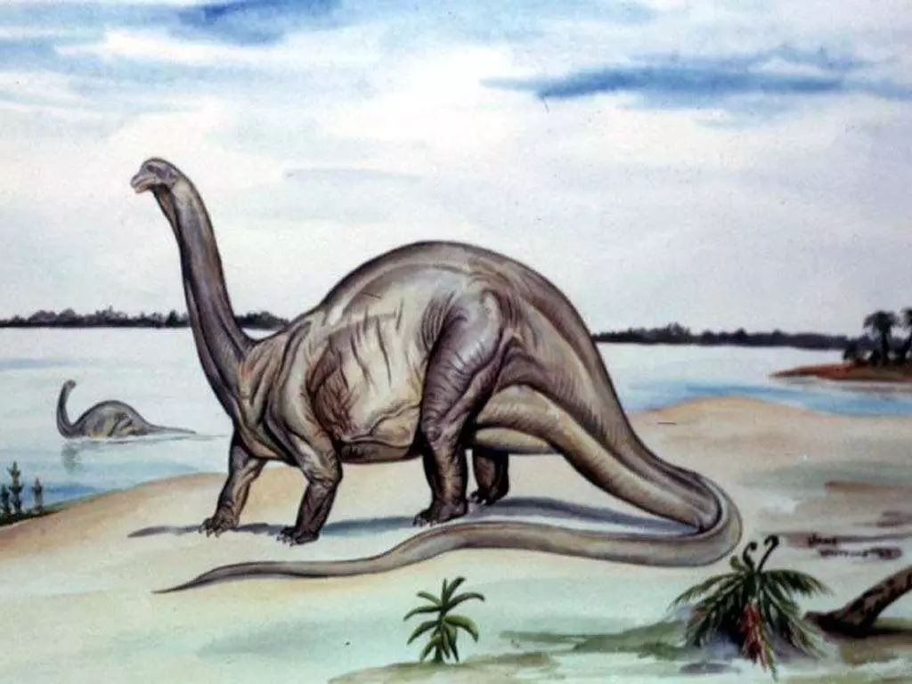 Apatosaurs سمجھي ٿو پاڻيءَ جي علاج کي پسند ڪندو آھي.