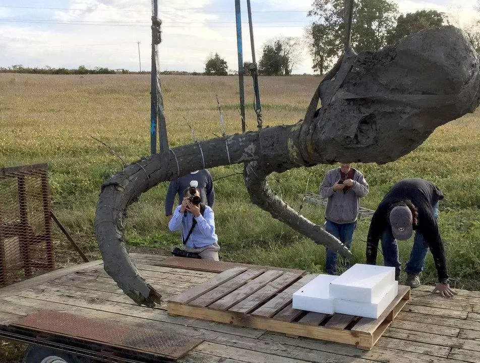 Amerikako nekazariek aurkitutako artilezko mamut baten indusketa.