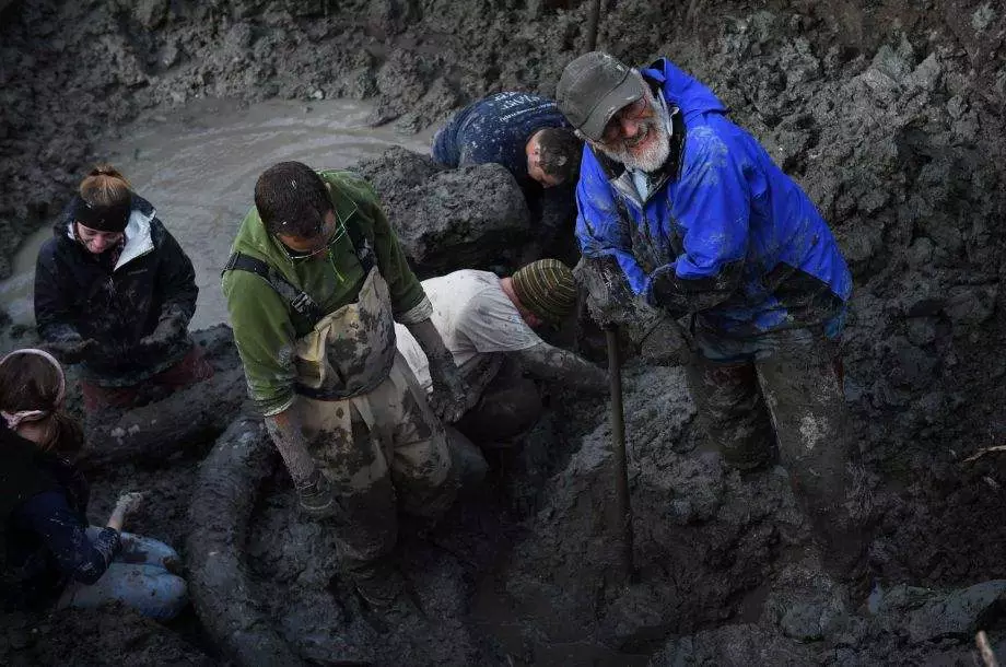Utgrävning av en ullig mammut upptäckt av amerikanska bönder.