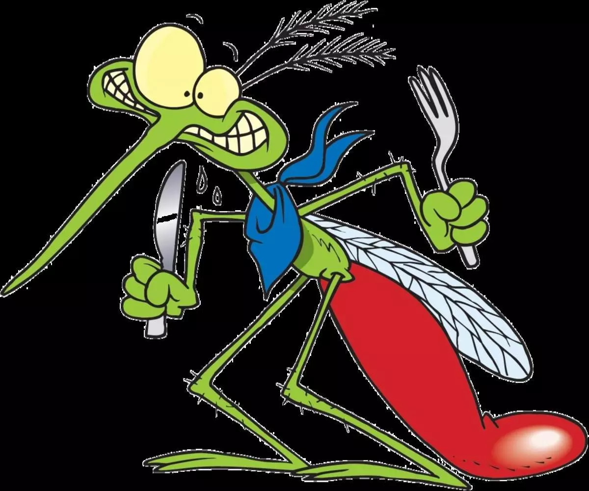 Cel mai adesea, țânțarii sunt descriși ca personaje de desene animate rele.