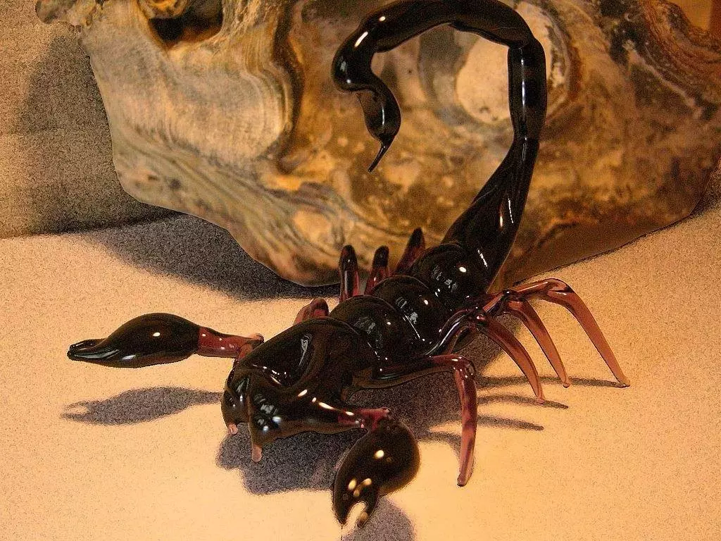 Zinkhanira (Scorpiones).