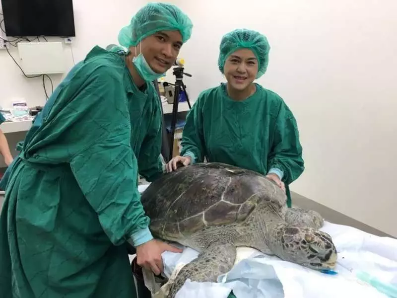 Veterinè Thai pa t 'atann yo jwenn pyès monnen nan vant lan nan yon reptil.