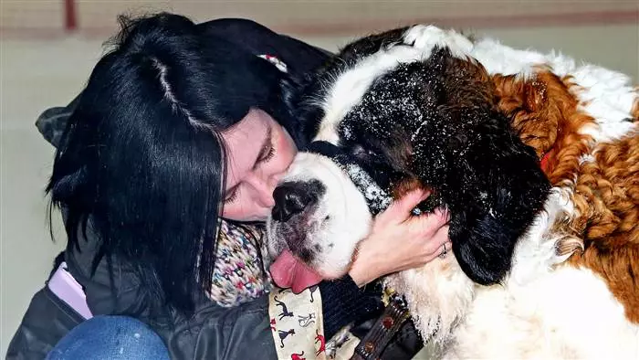 Vrouw regelt een droomdag voor haar hond die sterft aan kanker
