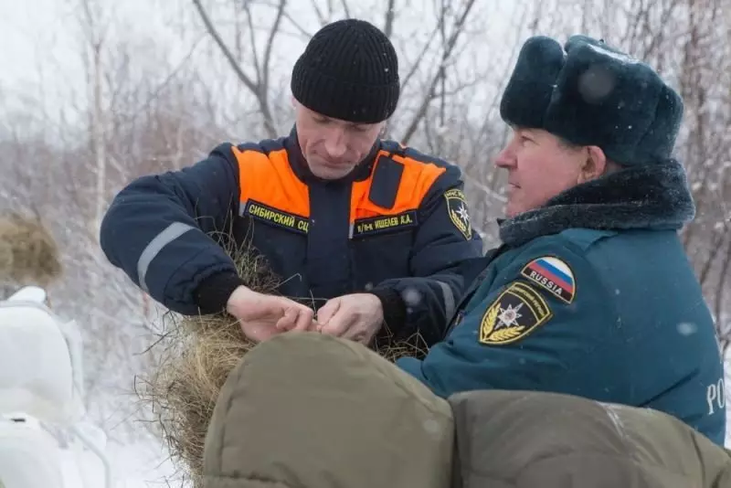 Los empleados y agentes de policía de EMERCOM participan activamente en el rescate de animales salvajes.