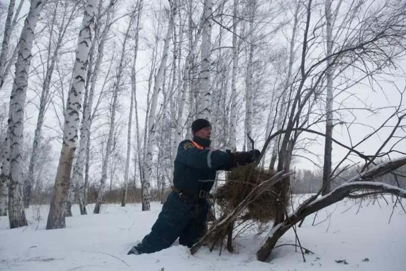 Sügavate lumehangede tõttu on kabiloomadel raske rohu alla jõuda.
