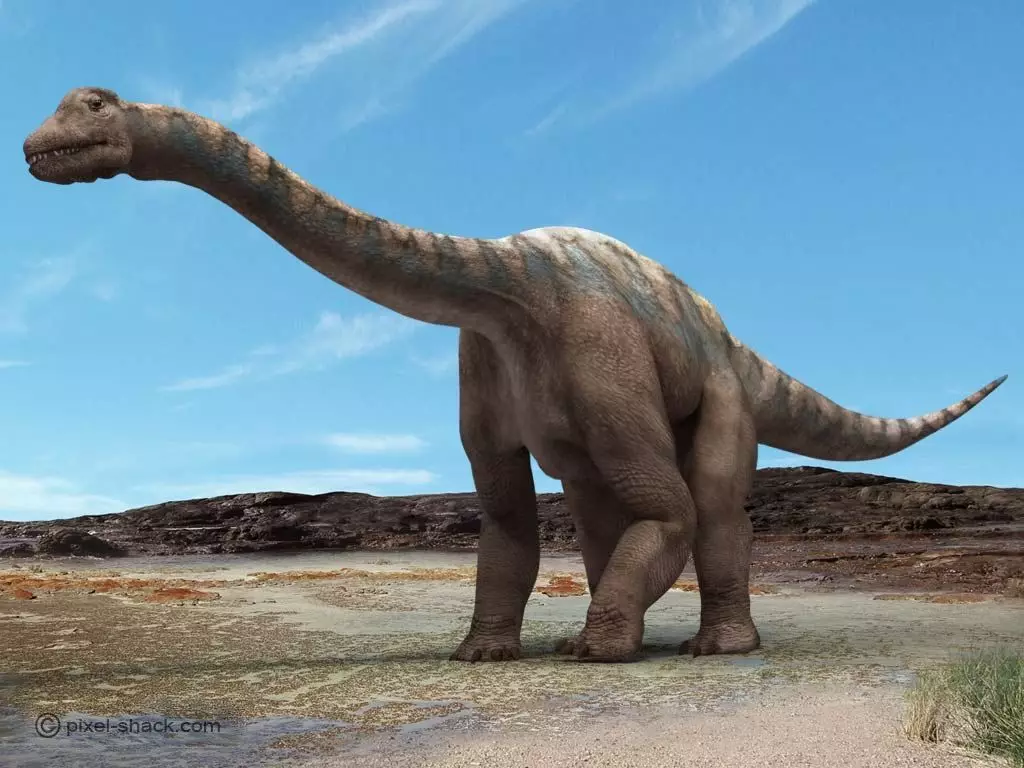 Dinossauro: Argentinosaurus