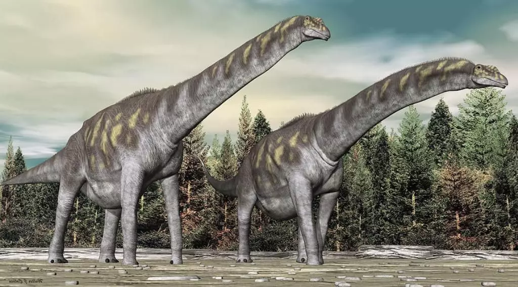 Um par de Argentinosaurs.