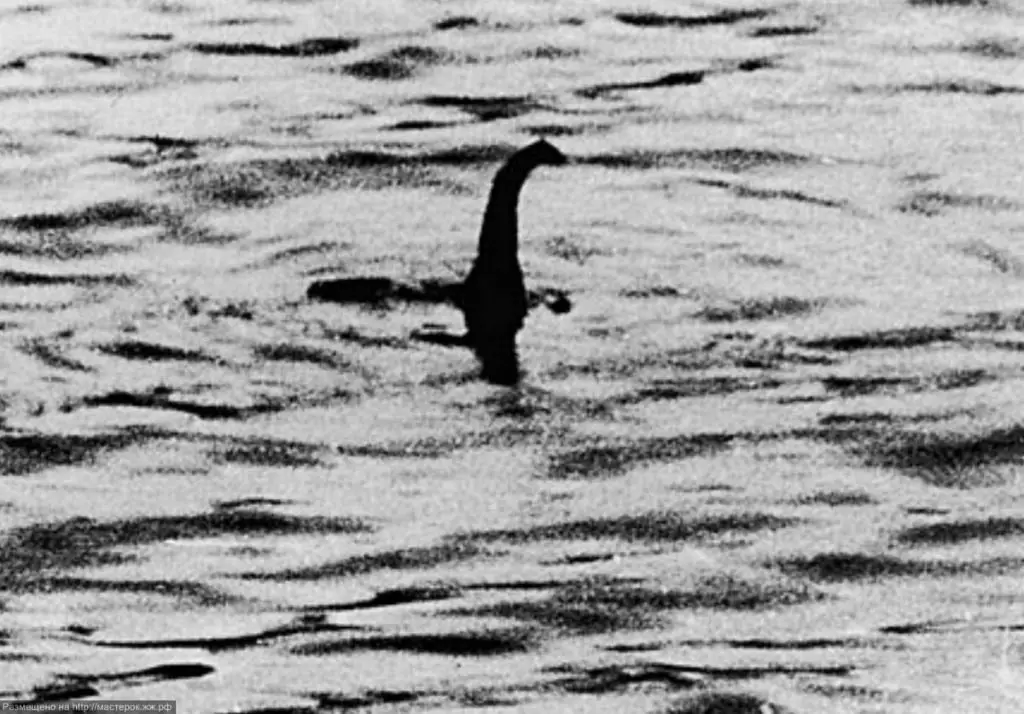 Monster van Loch Ness - Overzee