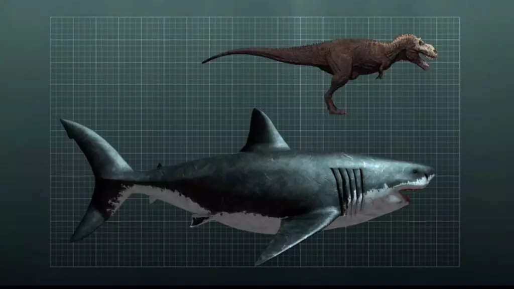 Megalodona lielums salīdzinājumā ar dinozauru.