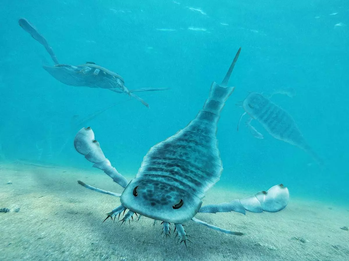 Dado que a lonxitude corporal dos crustáceos alcanzou os 2,5 m, estes animais seguen sendo considerados os artrópodos máis grandes da historia do planeta.