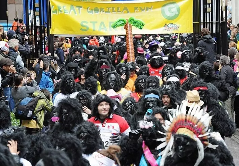 Ang Gorillas modagan tabok sa London karong katapusan sa semana.