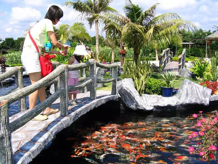 Ang mga Hapon ning-adto sa parke nga piho aron pakan-on ang koi.