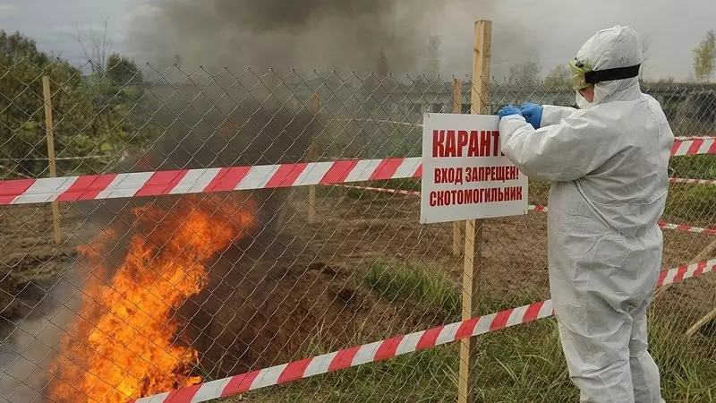 Хоҷагиҳои хурд аксар вақт бо баҳонаи мубориза бо вирус нобуд карда мешаванд.