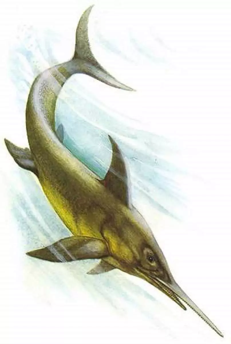 Eurinosaurus - sirli dəniz dinozavrı