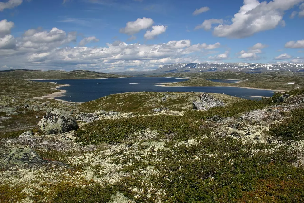 Hardangervidda Nasjonaal Park is ien fan 'e moaiste plakken yn Noarwegen.