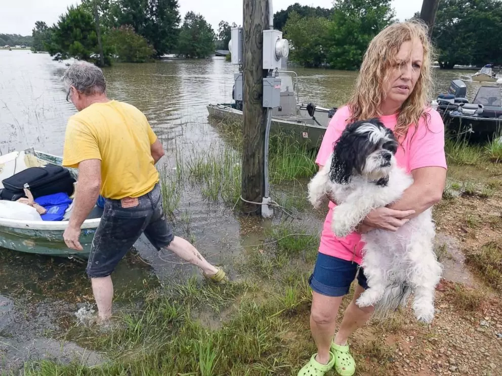 Rischiando la vita, i residenti della Louisiana salvano sia le persone che gli animali dalle inondazioni.