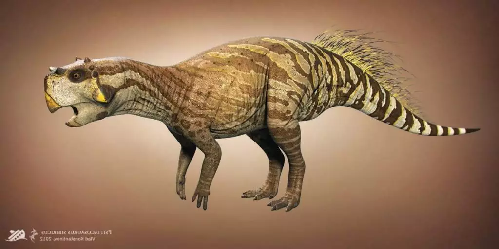 Psittacosaurus: dinozaurų papūga