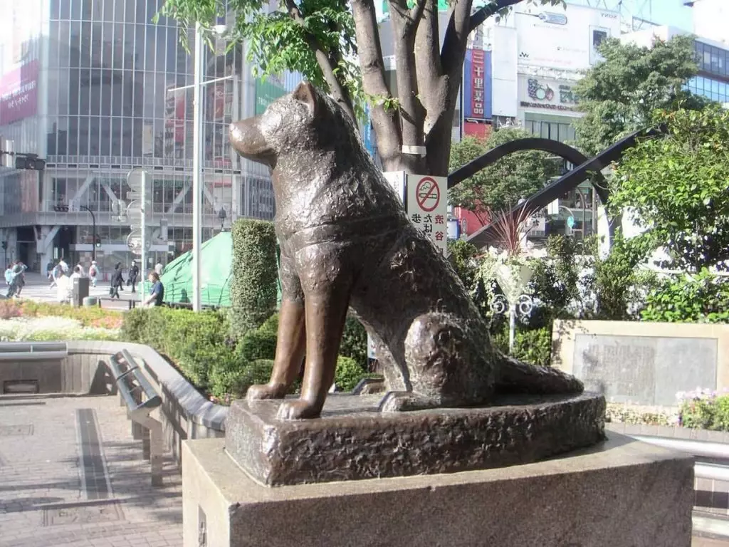 Monumento a Hachiko, el amigo más fiel de Tokio, Japón.