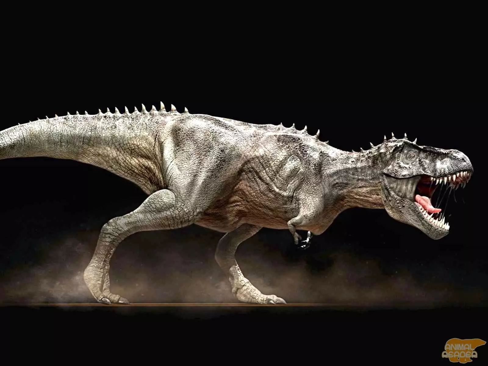 Tyrannosaurus