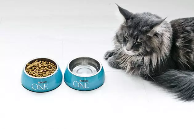 A comida de gato Purina One é classificada por gosto