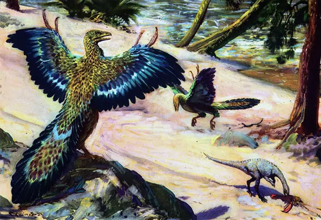 Archeopteryx boleh terbang, atau sekurang-kurangnya meluncur dengan baik