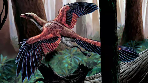 Os científicos adoitan atribuír só pterosaurios aos principais inimigos naturais de Archaeopteryx de calquera época.