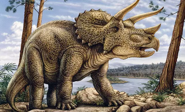 Triceratops (ላቲን ትሪሴራቶፕስ)