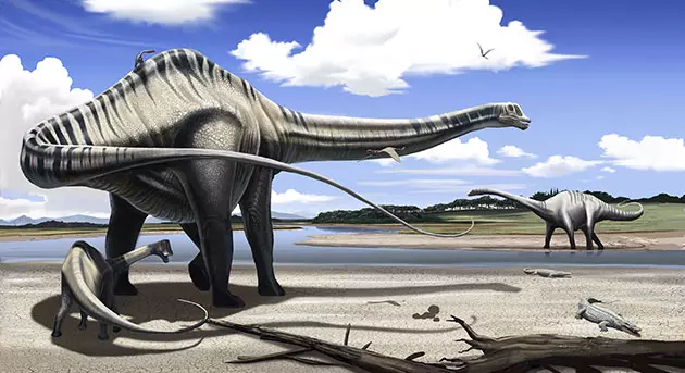 1970ean, mundu zientifikoak onartu zuen sauropodo guztiak, Diplodocus barne, lurreko animaliak zirela.