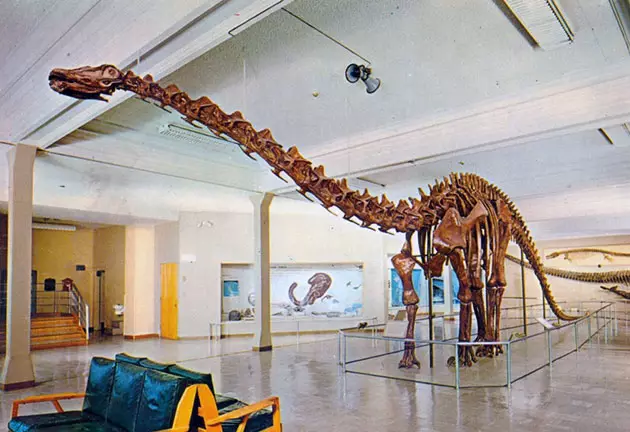 Diplodocus-en lehen fosilak 1877koak dira