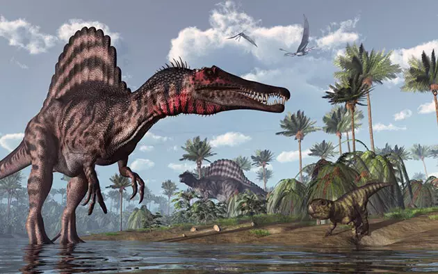 Paleontologists compare Spinosaurus to a similar predator, the Baronyx, which ate both fish and smaller dinosaurs or other terrestrial fauna.