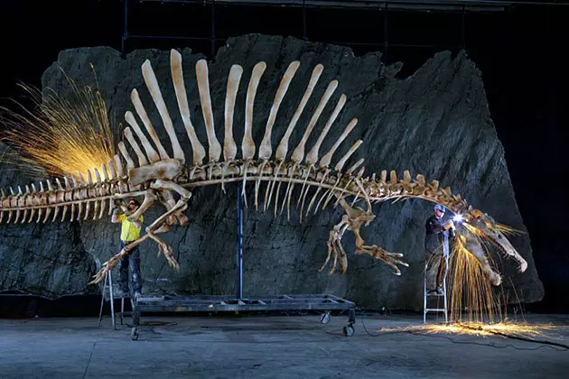 The first remains of a spinosaurus were discovered in the Bahariya Valley in Egypt in 1912